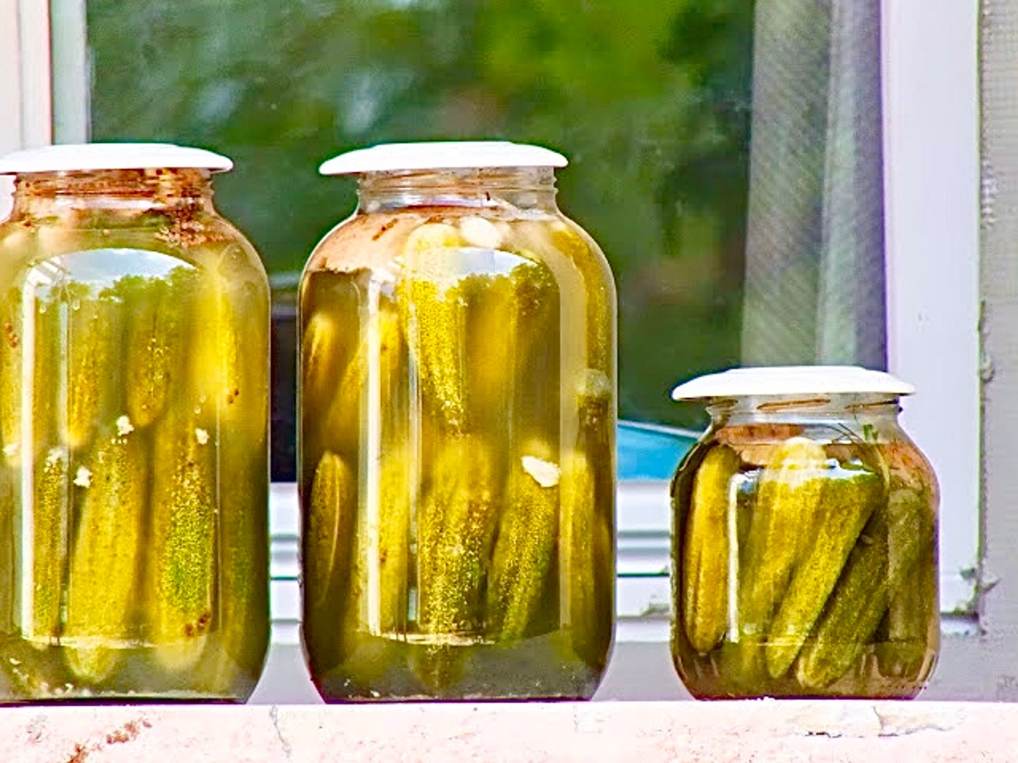 Hungarian Kovászos Uborka (Pickled Cucumbers) Recipe - Paprika & Friends